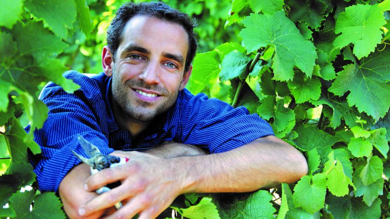 Weingut Ellermann-Spiegel